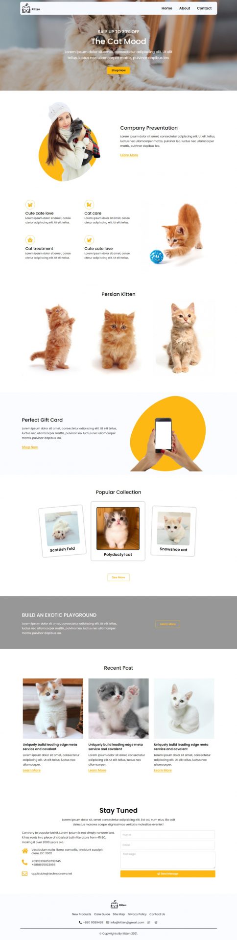 Kitten - Elementor Pet Website Template – ThemeRally